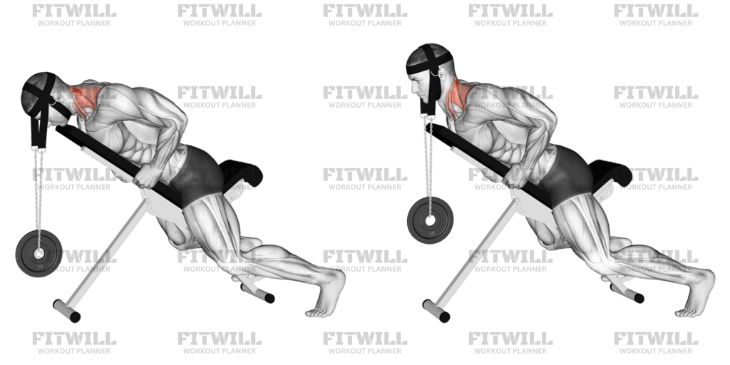 Weighted Lying Neck Extension (with Head Harness): Exercise Guide ...