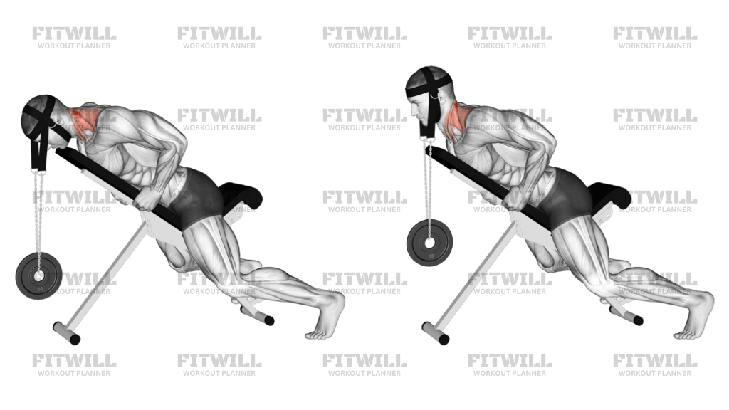 Weighted Lying Neck Extension With Head Harness: Exercise Guide, Video ...