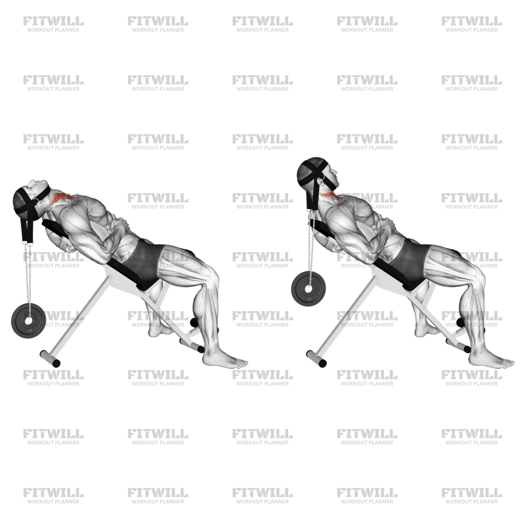 Weighted Lying Neck Flexion (with Head Harness): Exercise Guide, Video ...