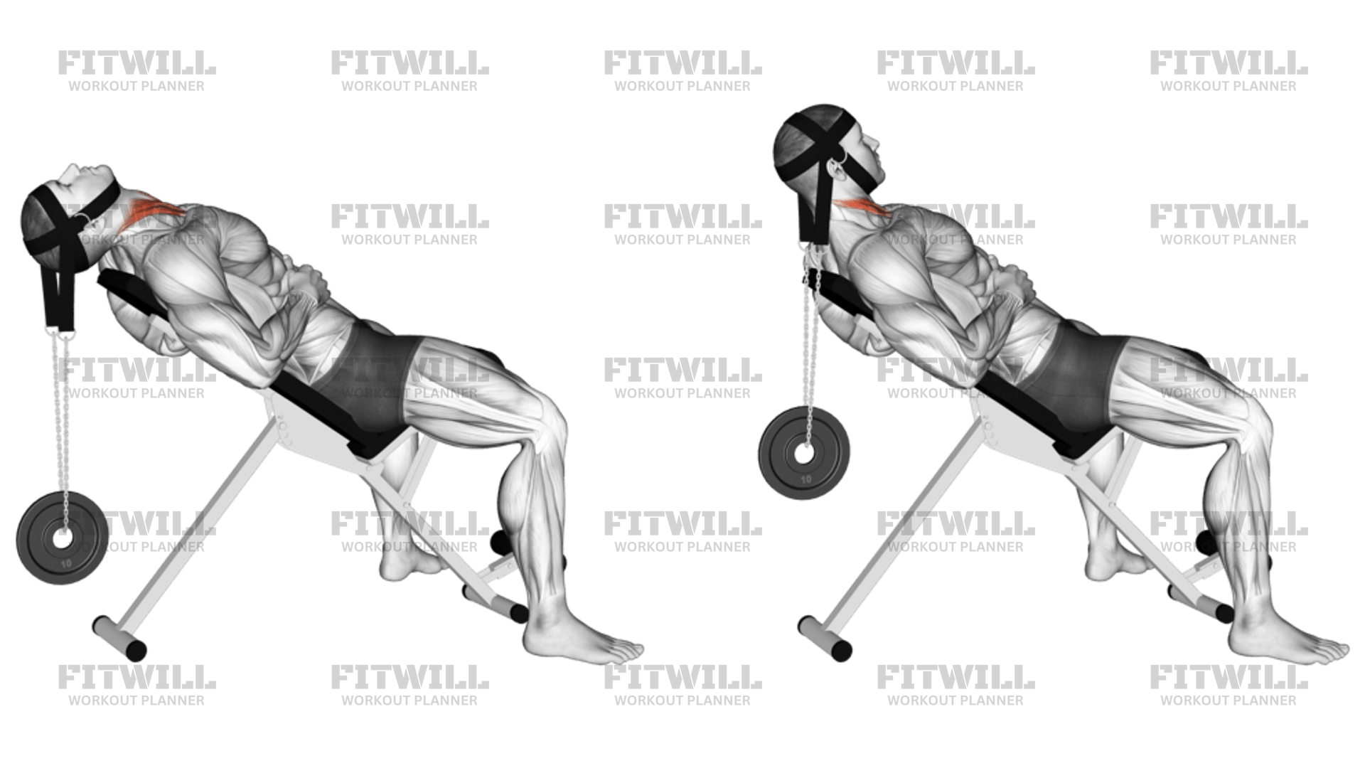 Weighted Lying Neck Flexion (with Head Harness): Exercise Guide, Video ...