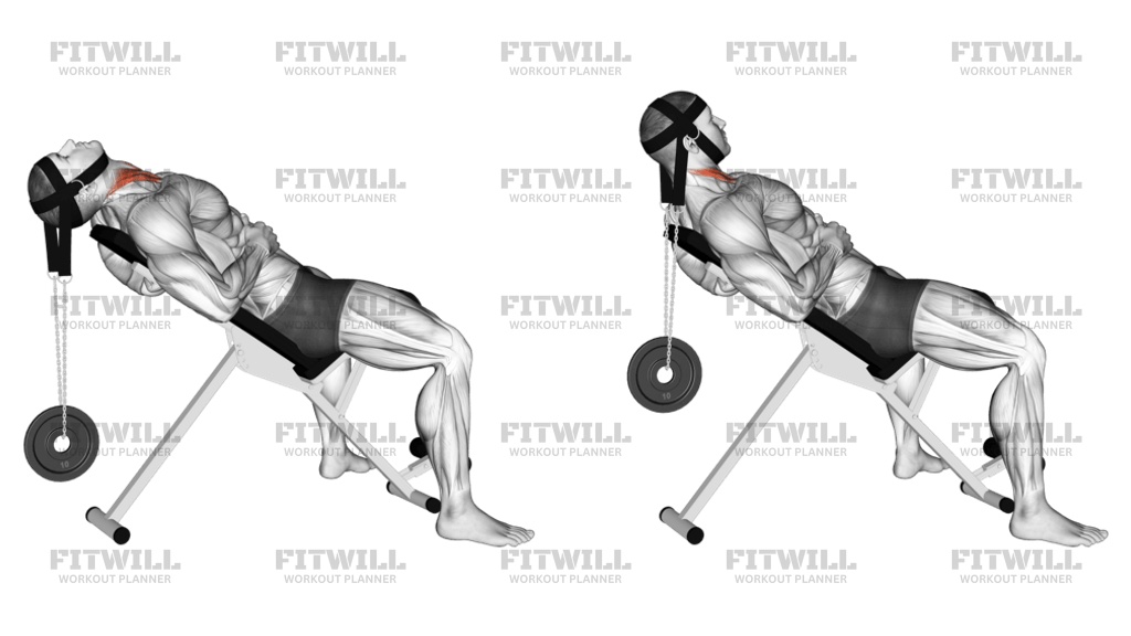 Strengthen Your Neck: Ultimate Workout for Neck Muscle Development ...
