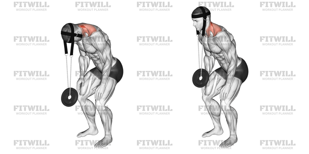 Weighted Standing Neck Extension (with Head Harness): Exercise Guide ...