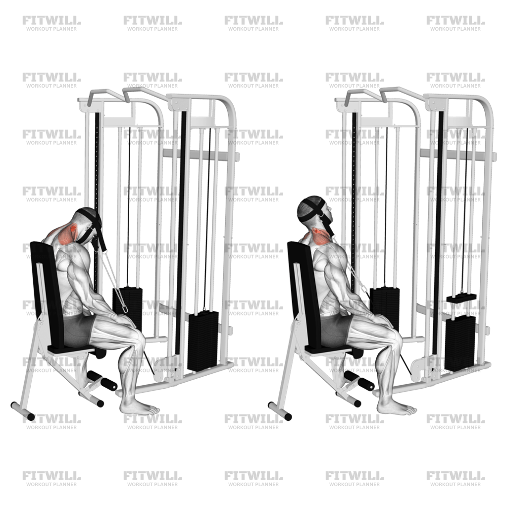 Cable Seated Neck Extension (with Head Harness): Exercise Guide, Video ...