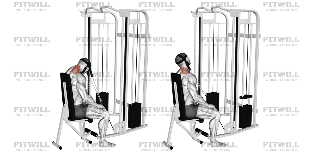 Cable Seated Neck Extension (with Head Harness): Exercise Guide, Video ...