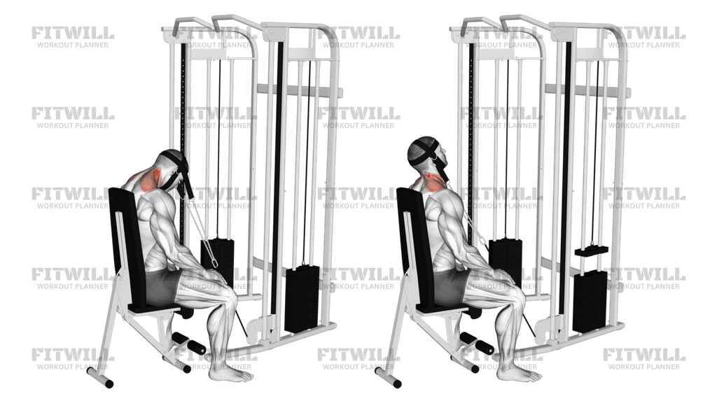 Cable Seated Neck Extension (with Head Harness): Exercise Guide, Video ...