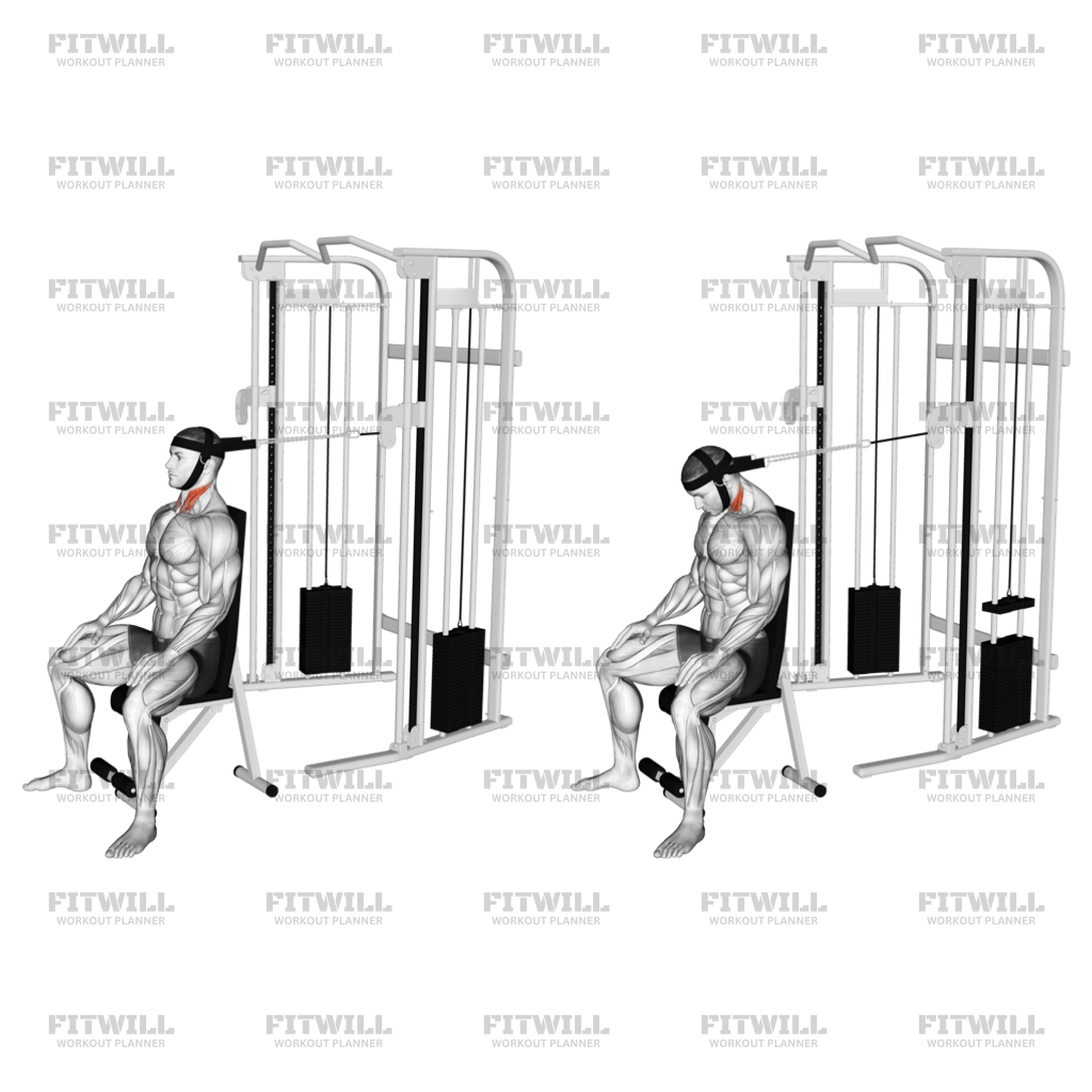 Cable Seated Neck Flexion (with Head Harness): Exercise Guide, Video ...
