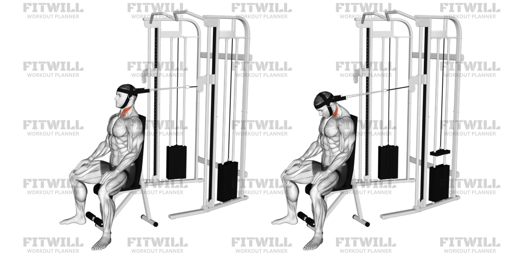 Cable Seated Neck Flexion (with Head Harness): Exercise Guide, Video ...
