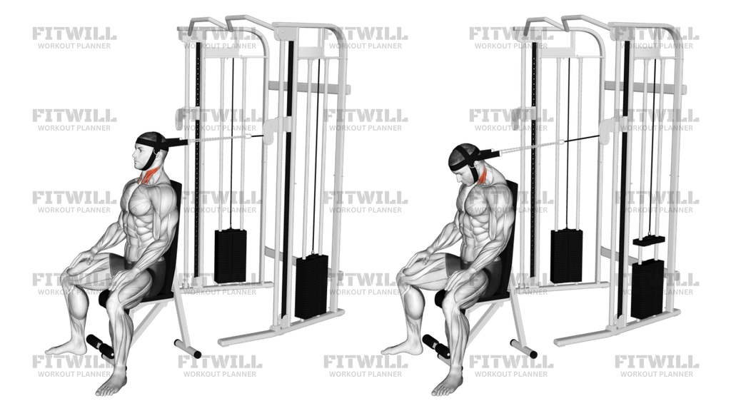 Cable Seated Neck Flexion (with Head Harness): Exercise Guide, Video ...