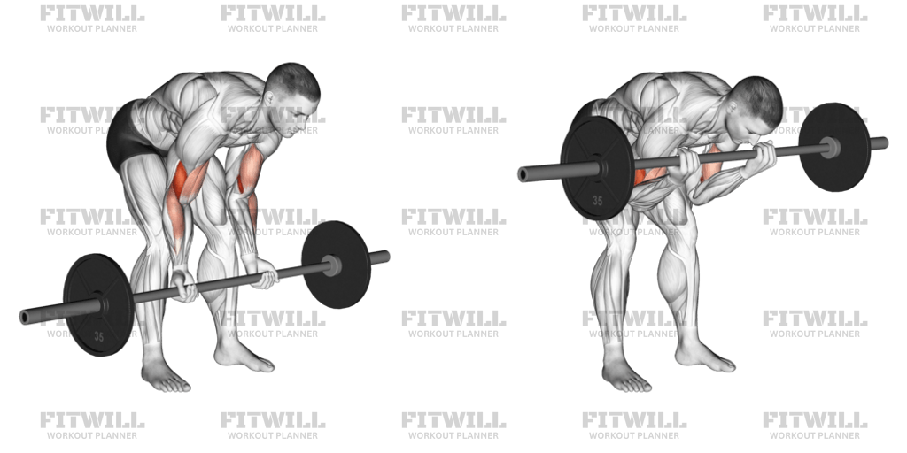 Barbell Standing Concentration Curl: Exercise Guide, Video, Techniques ...