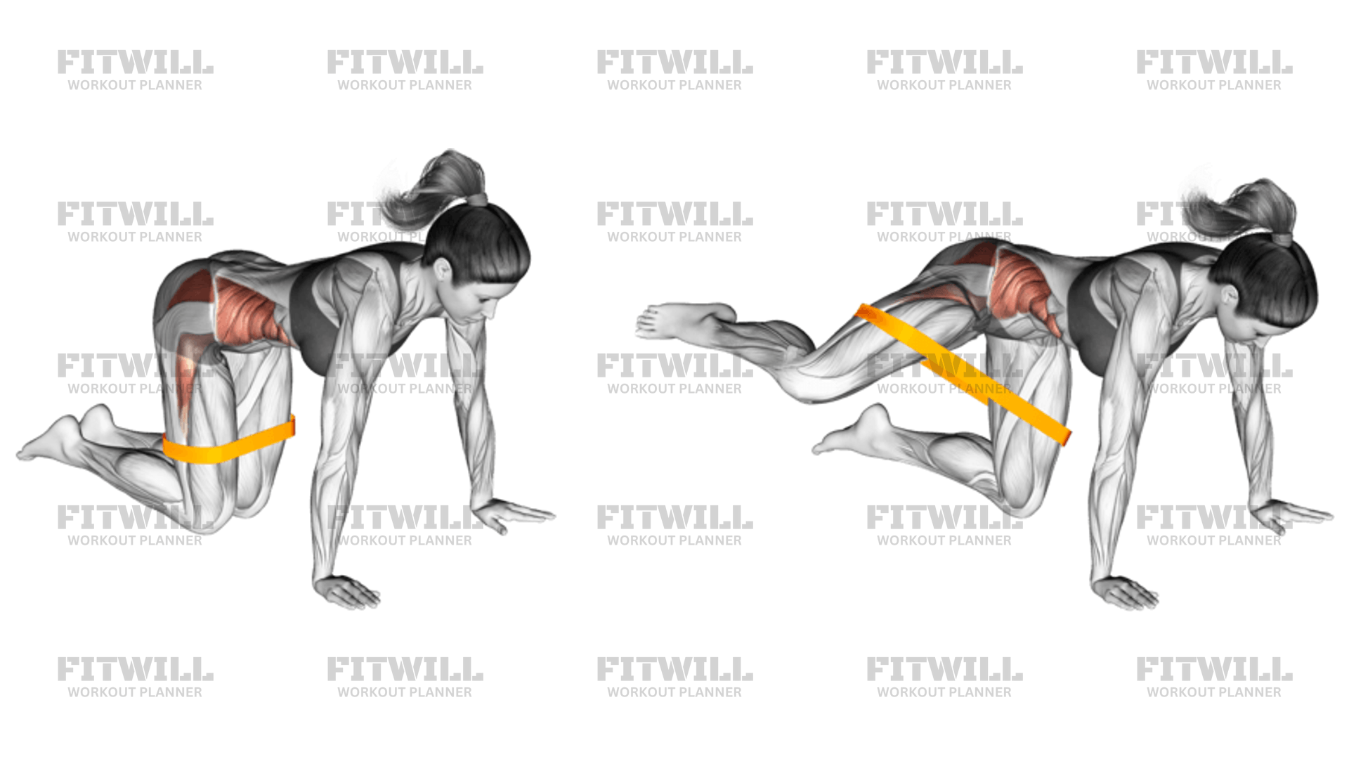 Resistance Band Bent Leg Side Kick (kneeling): Exercise Guide, Video ...