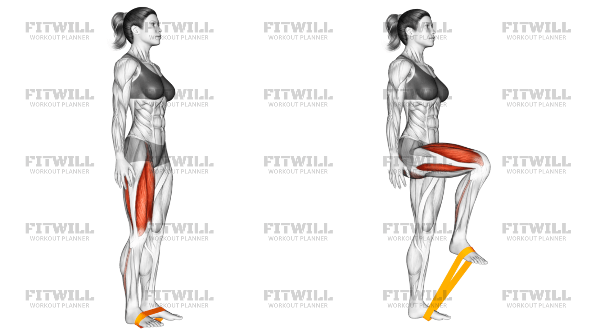 Resistance Band Leg Lift Exercise Guide Techniques Benefits How To Muscles Worked Tips
