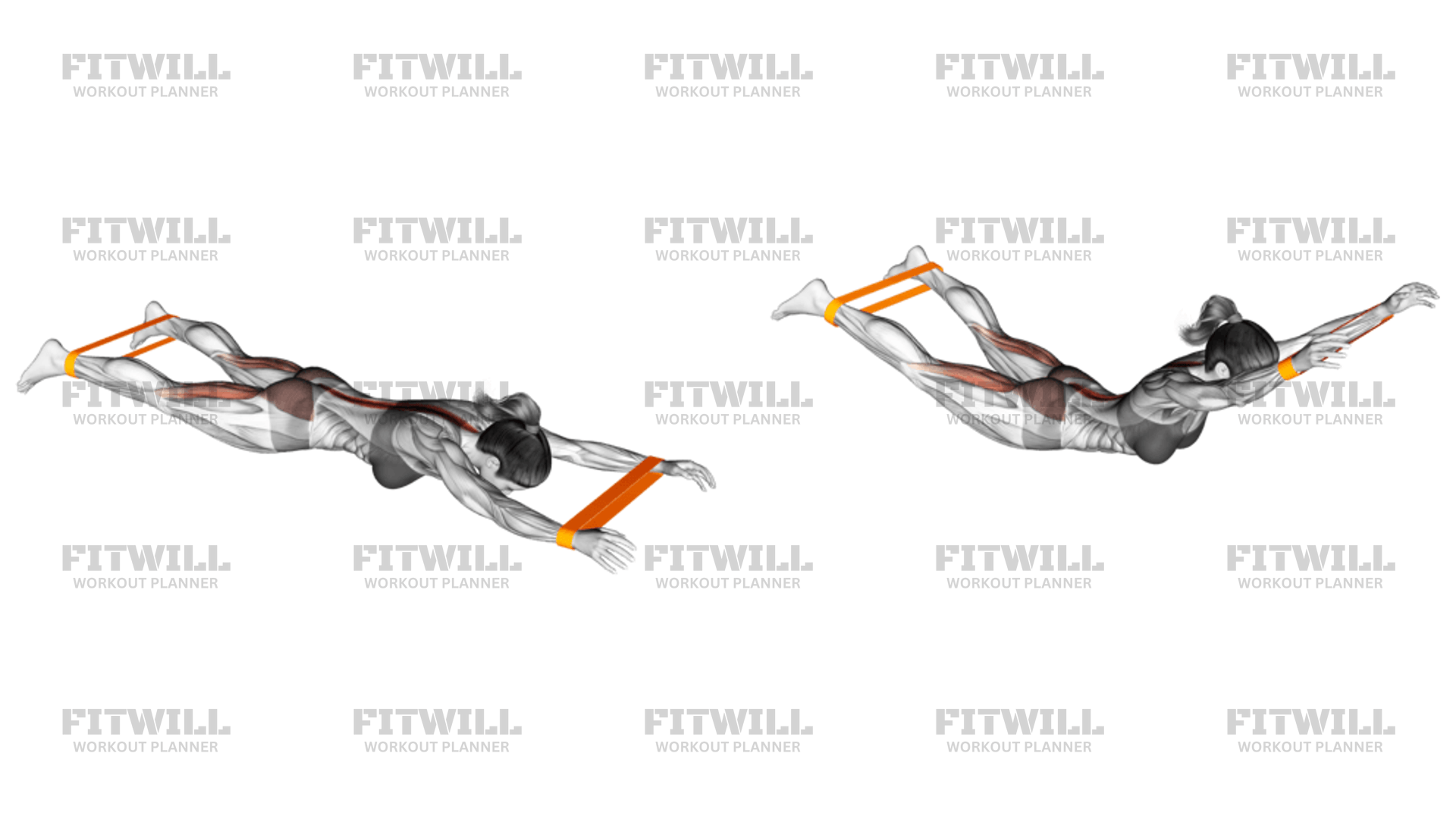 Resistance Band Floor Hyperextension: Exercise Guide, Video, Techniques ...
