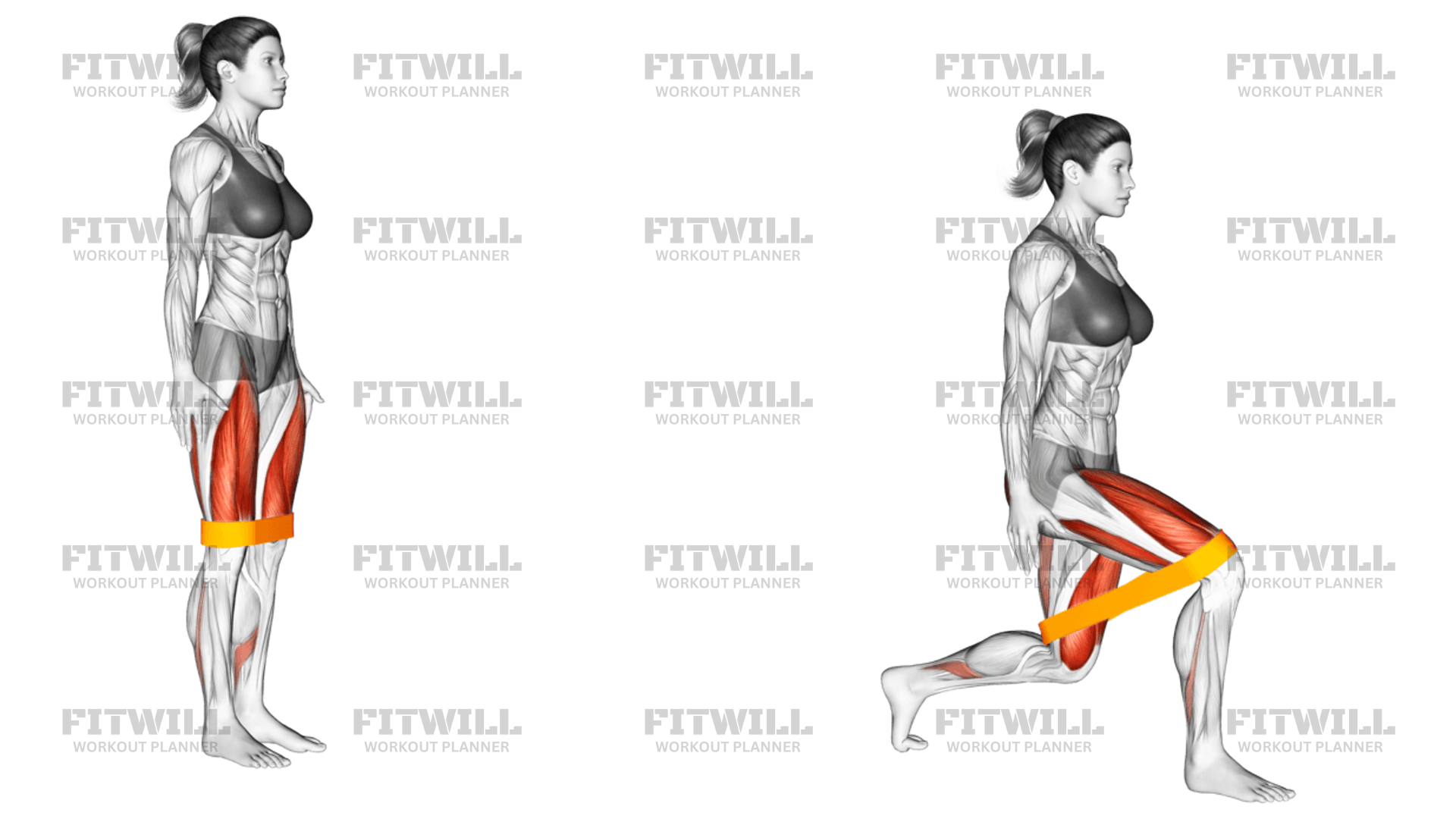 Resistance Band Lunge: Exercise Guide, Techniques, Benefits, How to ...