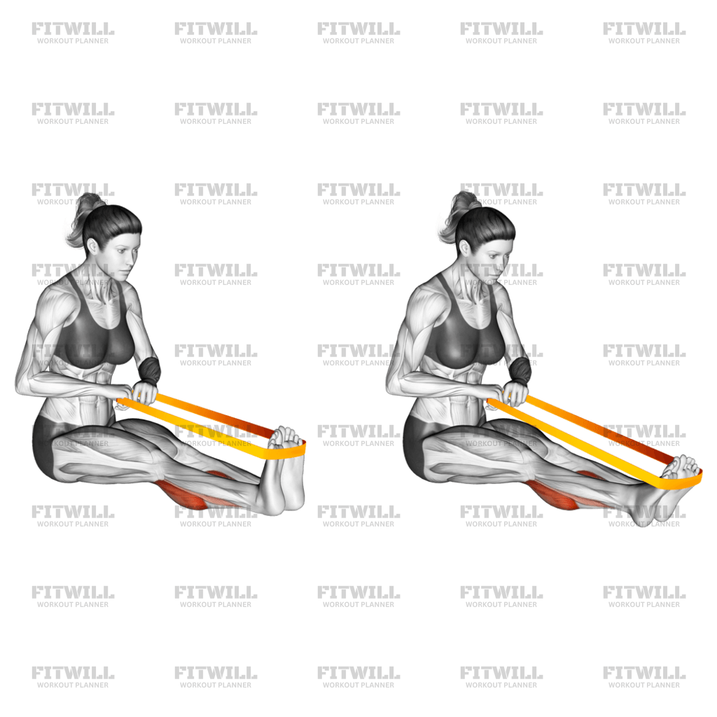 Resistance Band Calf Raise: Exercise Guide, Techniques, Benefits, How ...