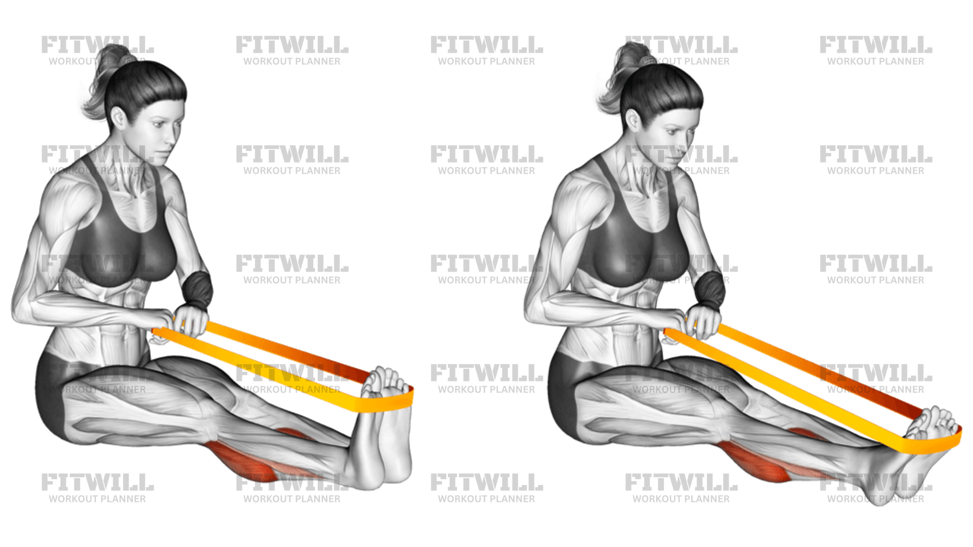 Resistance Band Calf Raise: Exercise Guide, Techniques, Benefits, How ...