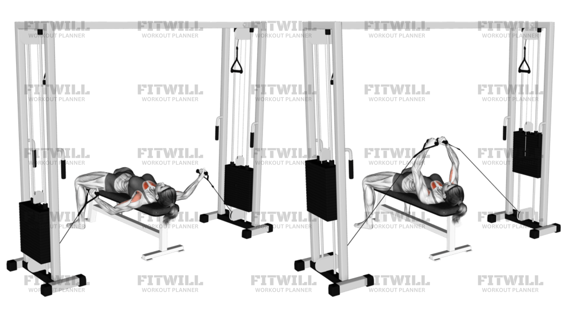 Cable Lying Fly: Exercise Guide, Video, Techniques, Benefits, How to ...