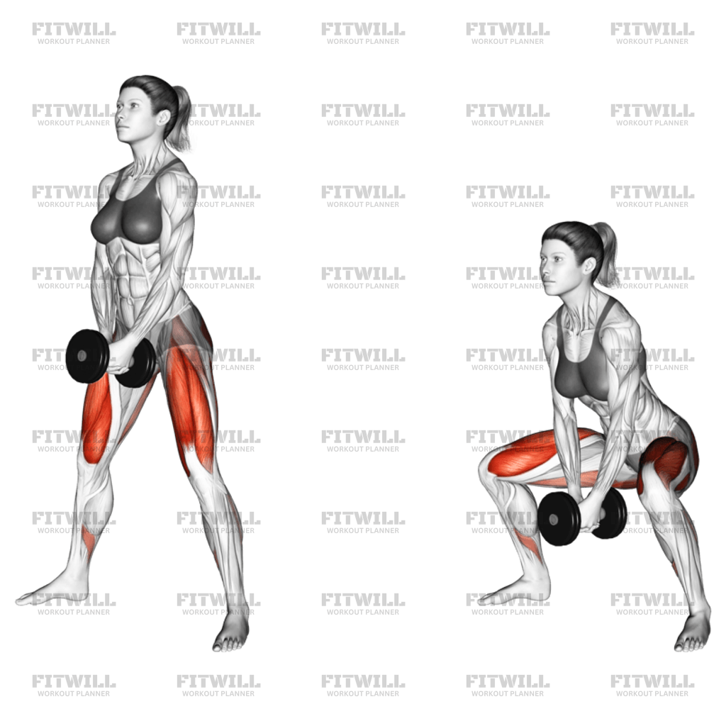 Dumbbell Bar Grip Sumo Squat: Exercise Guide, Video, Techniques ...