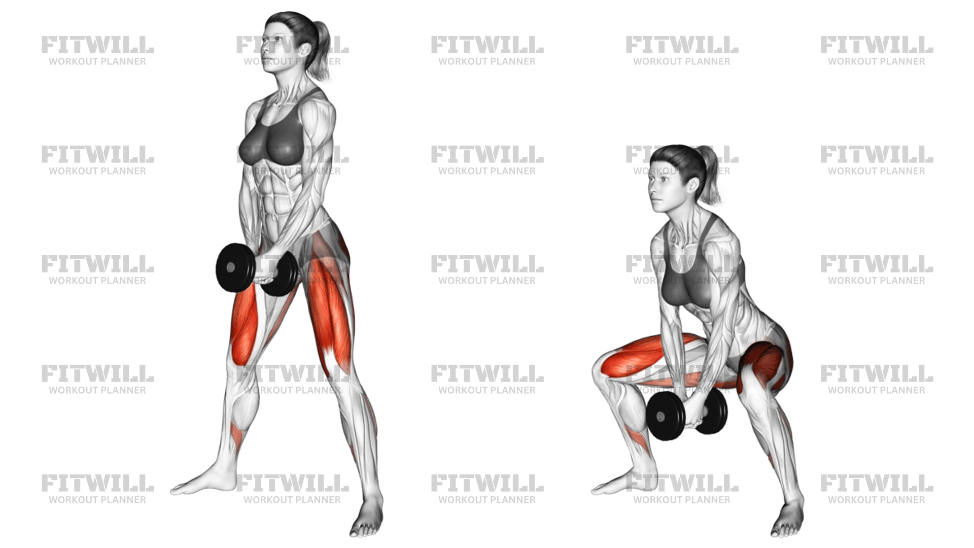 Dumbbell Bar Grip Sumo Squat: Exercise Guide, Video, Techniques ...