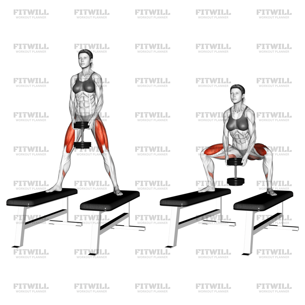 Dumbbell Sumo Squat Off Benches Exercise Guide Techniques Benefits How To Muscles Worked
