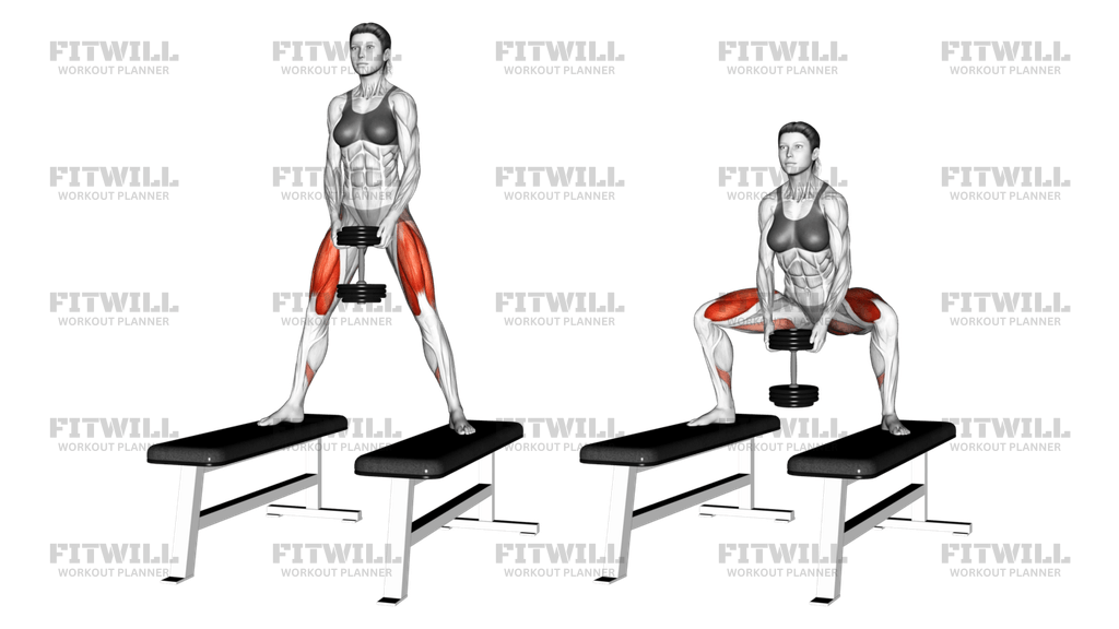 Dumbbell Sumo Squat Off Benches: Exercise Guide, Techniques, Benefits ...