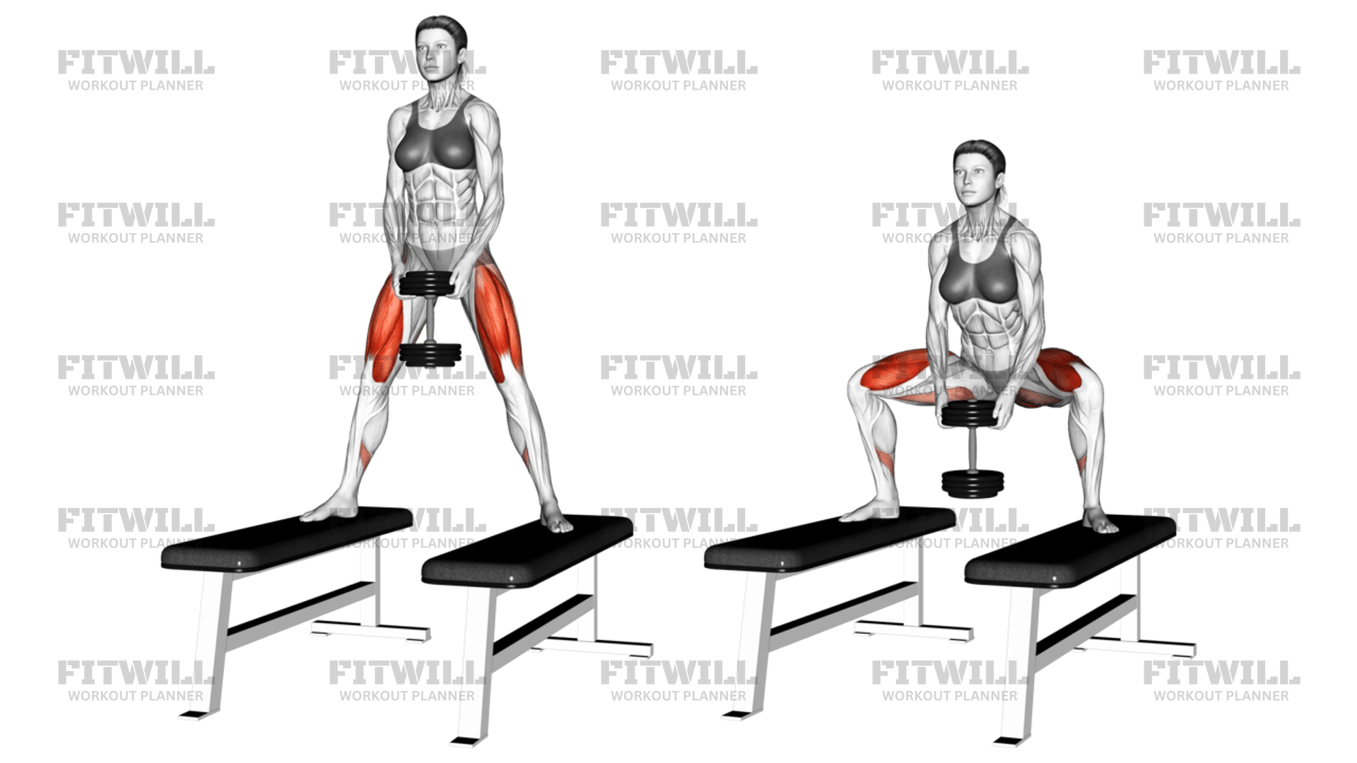 Dumbbell Sumo Squat Off Benches: Exercise Guide, Techniques, Benefits ... Dumbbell Sumo Squat Off Benches: Exercise Guide, Techniques, Benefits ...