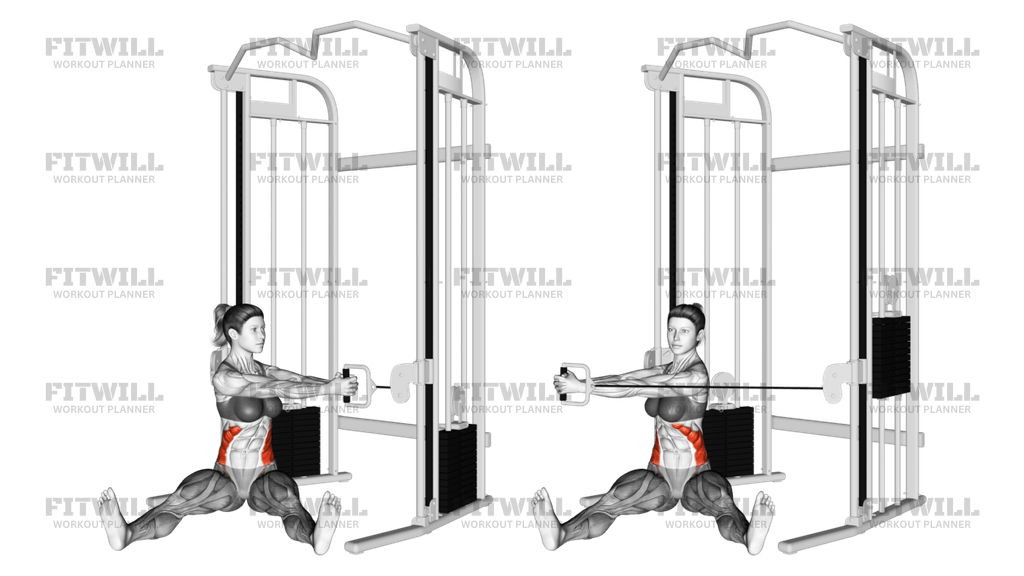 Cable Seated Twist On Floor: Exercise Guide, Video, Techniques ...