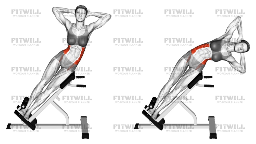 Roman Chair 45 Degrees Side Bend: Exercise Guide, Video, Techniques ...