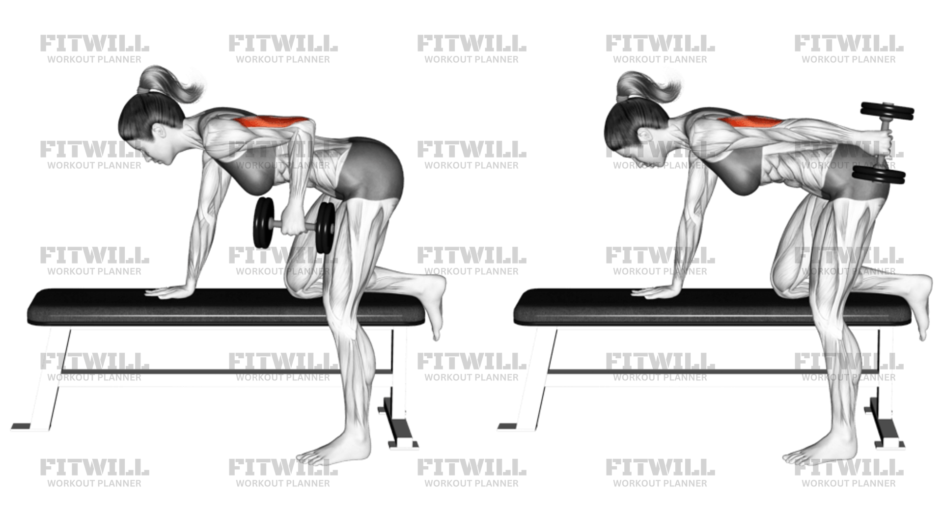 Dumbbell Kickback: Exercise Guide, Video, Techniques, Benefits, How to ...