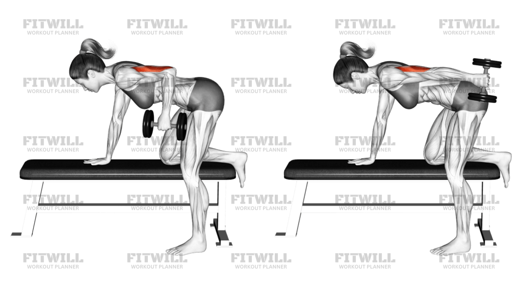 How to do Dumbbell Kickback: Techniques, Benefits, Tips & Tricks | Fitwill