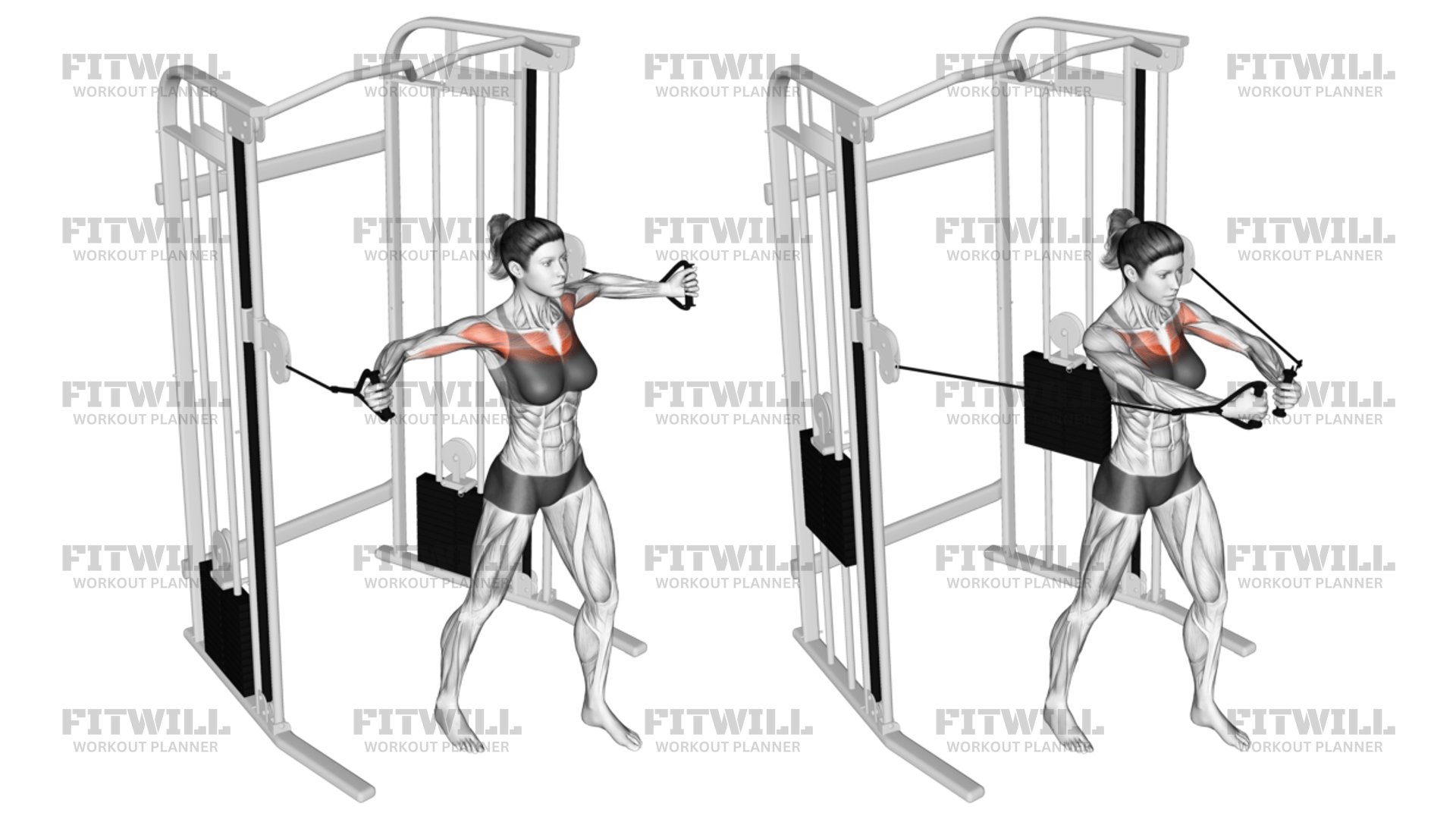 Aperturas En Polea Media: Guía de Ejercicios, Técnicas, Beneficios, Cómo Realizarlo, Músculos ...