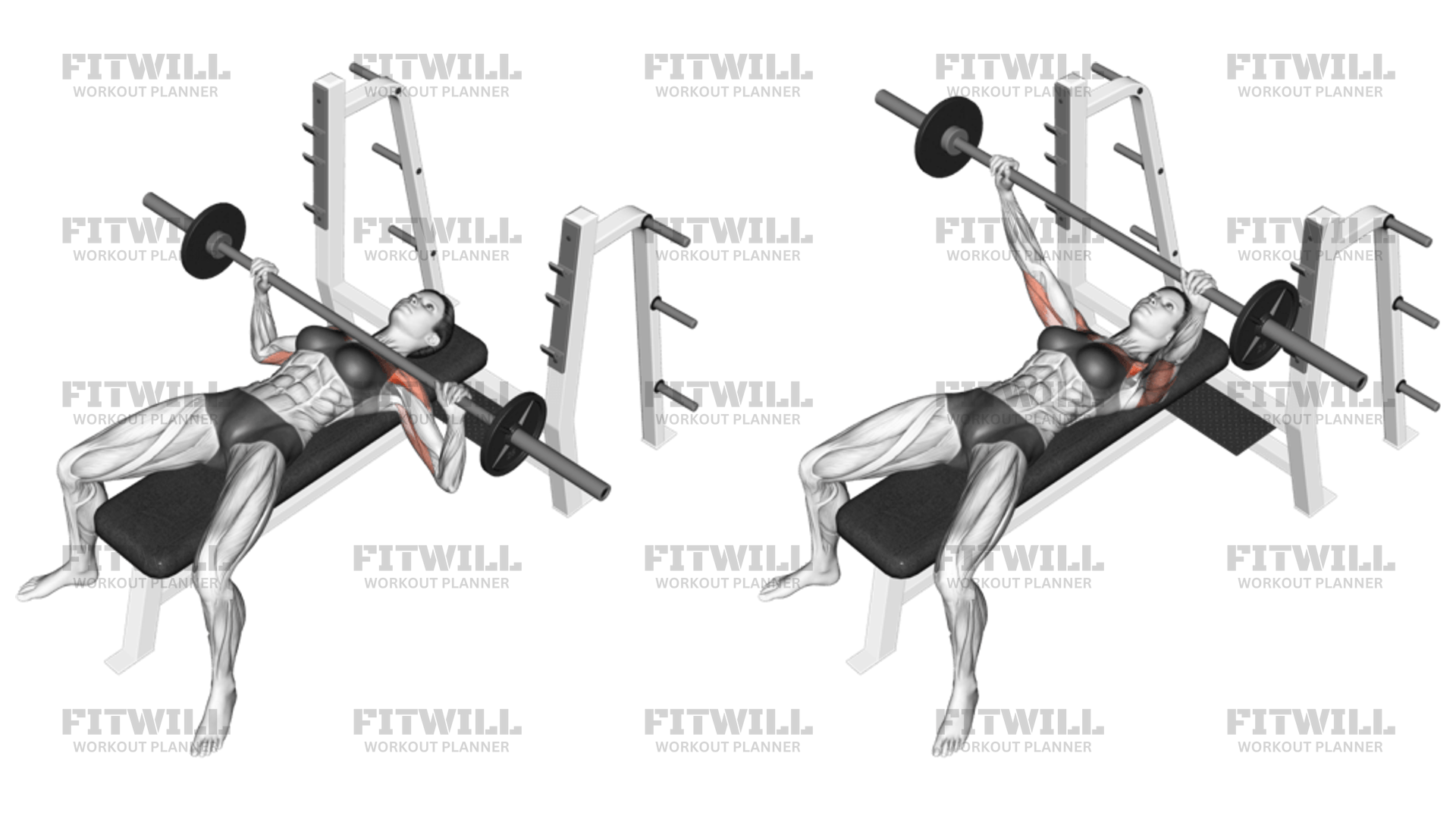 Barbell Bench Press Exercise Guide Video Techniques Benefits How