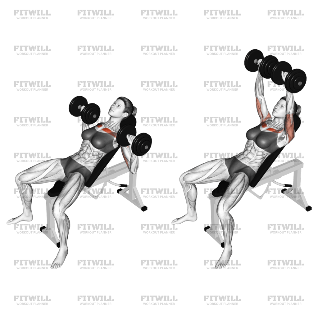 Dumbbell Incline Bench Press: Exercise Guide, Video, Techniques, Benefits, How to, Muscles ...