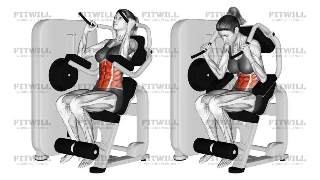 Lever Seated Crunch: Exercise Guide, Video, Techniques, Benefits, How ...