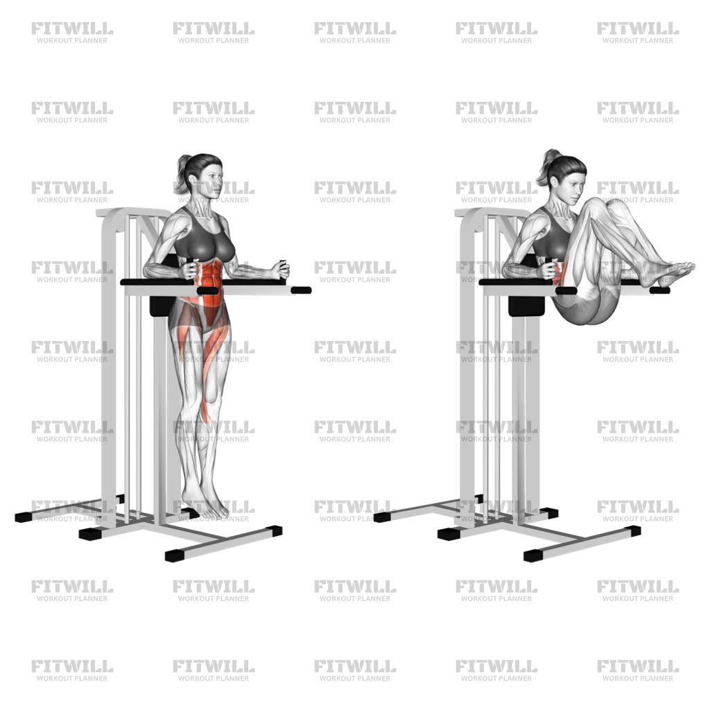 Vertical Leg Raise (on Parallel Bars): Exercise Guide, Techniques ...