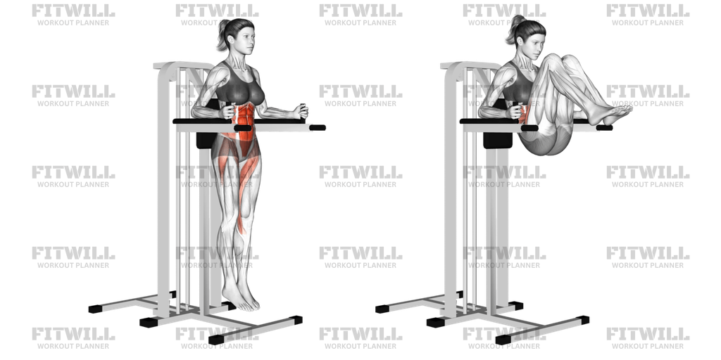 Vertical Leg Raise (on Parallel Bars): Exercise Guide, Techniques ...