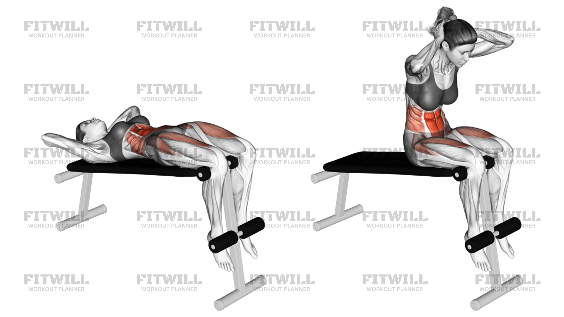 Decline Sit Up: Exercise Guide, Techniques, Benefits, How to, Muscles ...