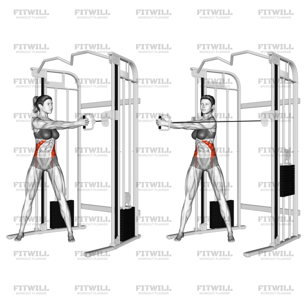 Cable Twist: Exercise Guide, Video, Techniques, Benefits, How to ...