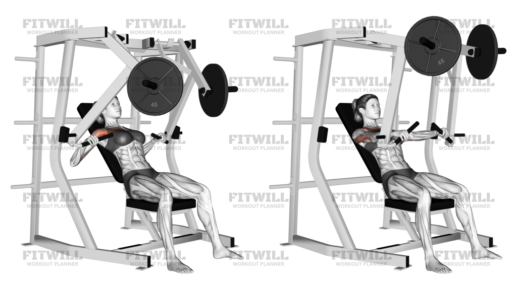 How to do Lever Decline Chest Press: Techniques, Benefits, Tips ...