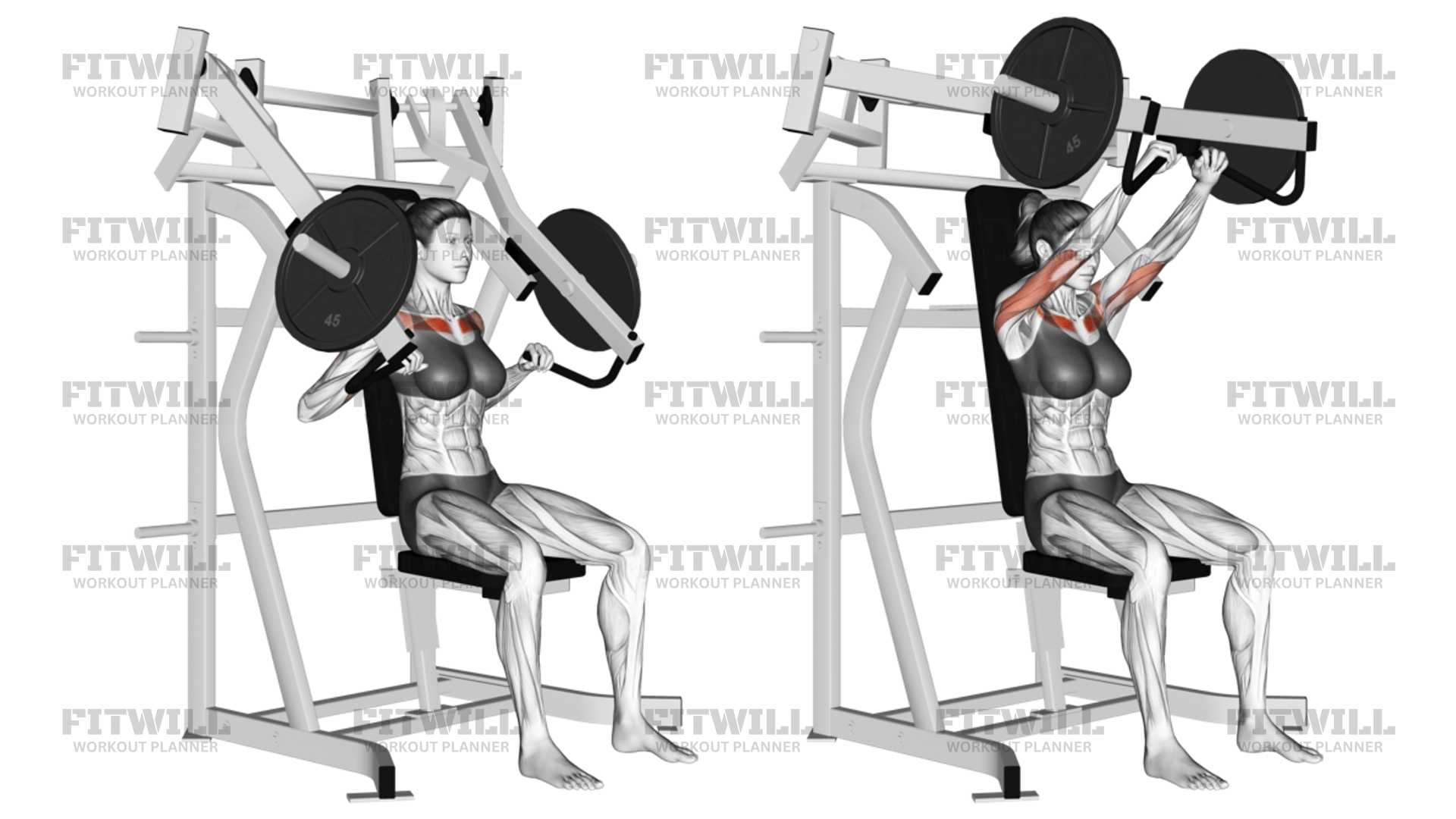 Lever Incline Chest Press: Exercise Guide, Techniques, Benefits, How to ...