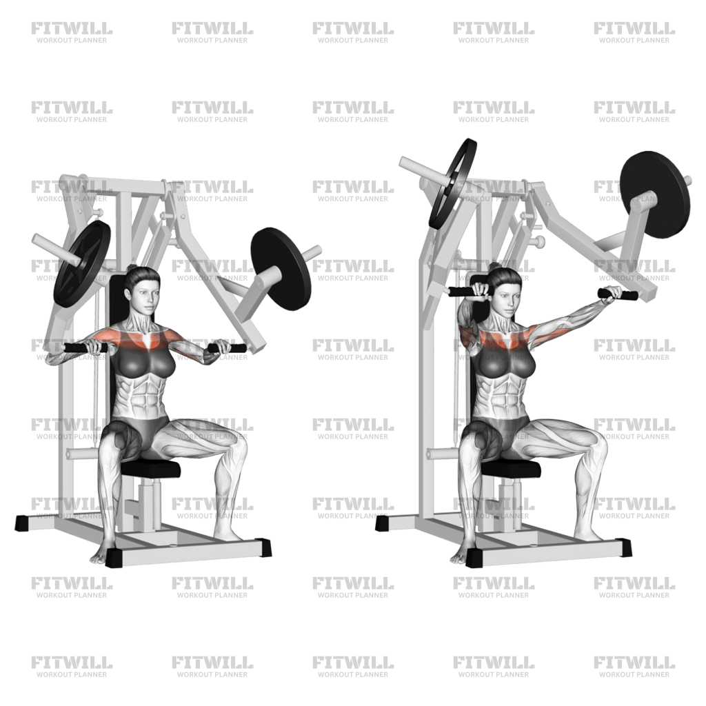 Press De Pecho Con Palanca (cargado Con Discos): Video de Ejercicio | Fitwill