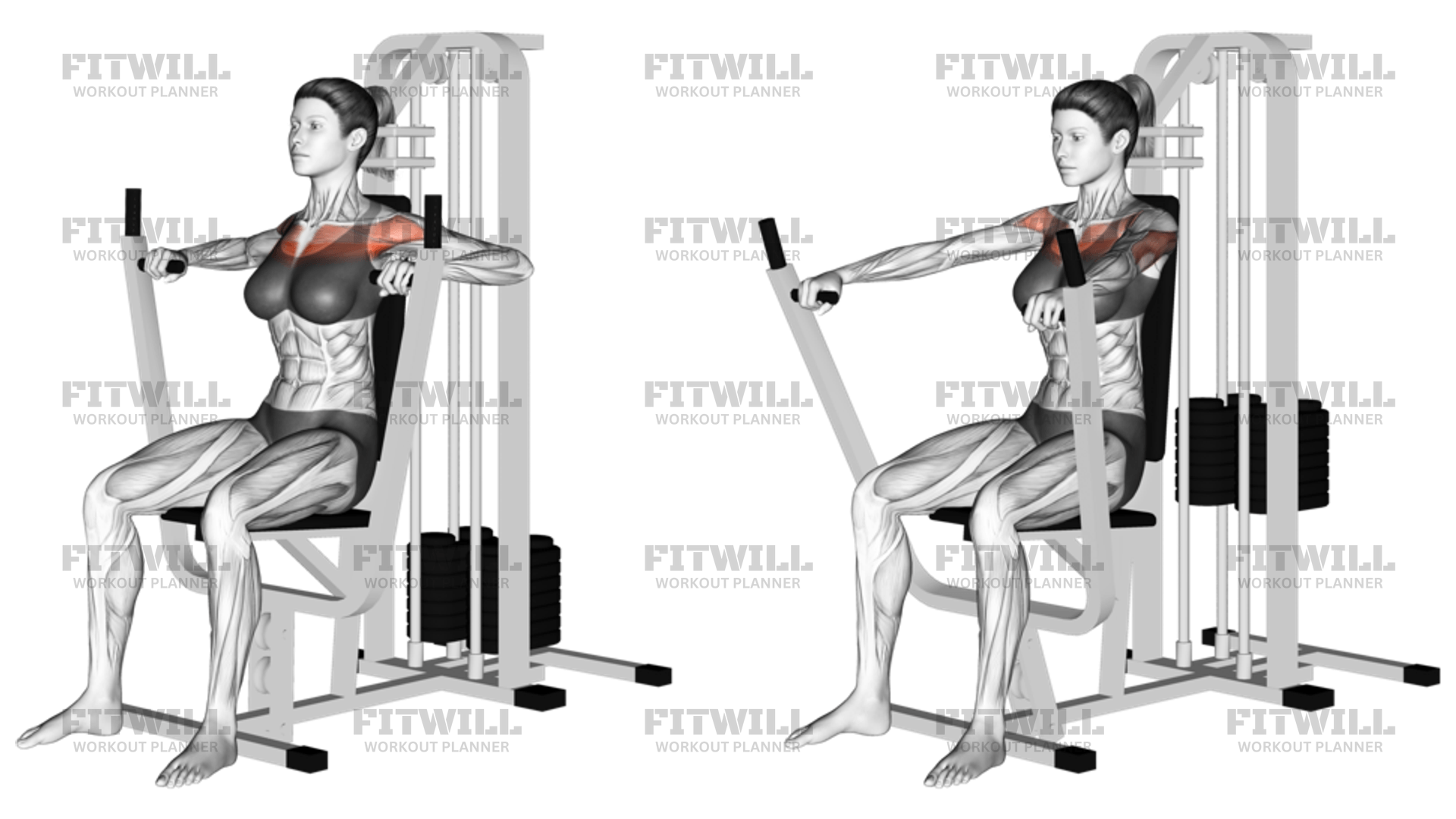 Lever Chest Press: Exercise Guide, Techniques, Benefits, How to ...
