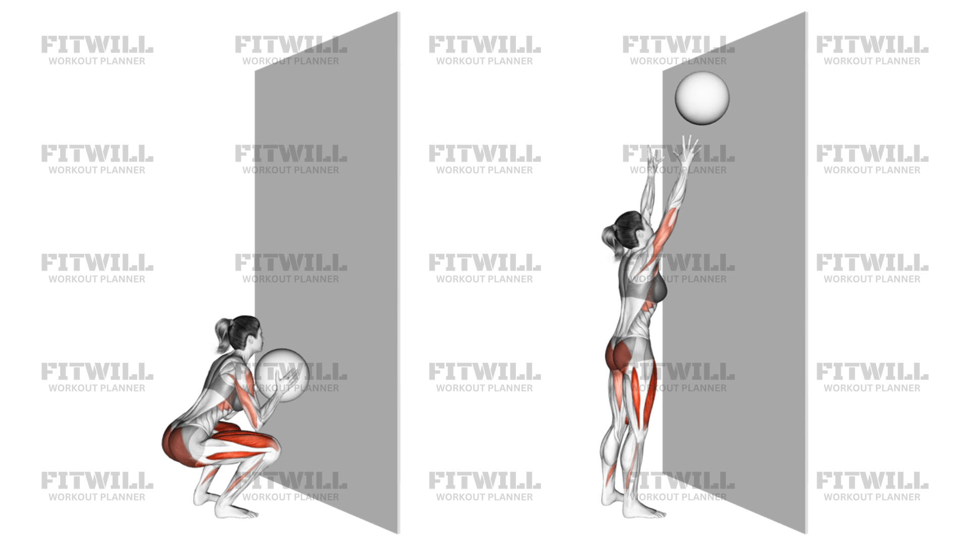 Wall Ball: Exercise Guide, Techniques, Benefits, How to, Muscles Worked ...