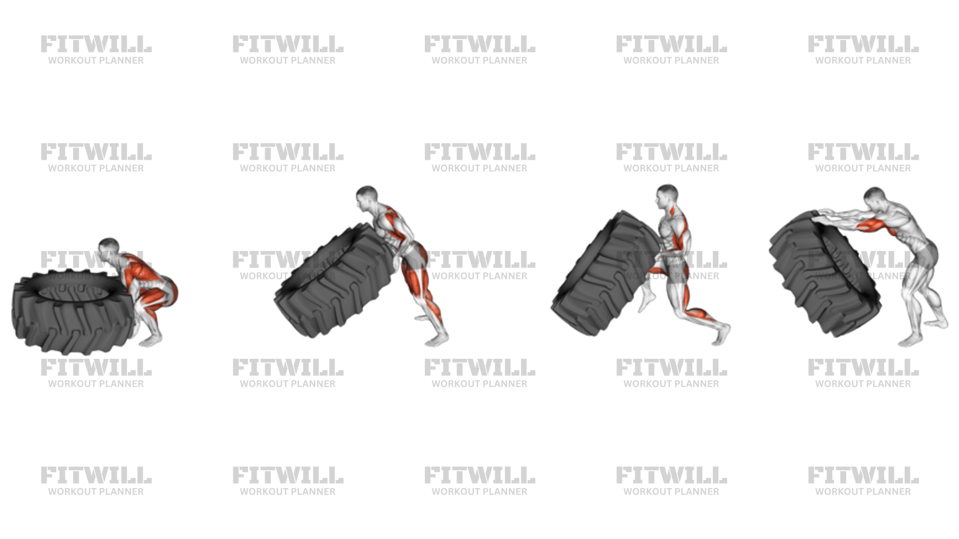 Tire Flip: Exercise Guide, Techniques, Benefits, How to, Muscles Worked ...