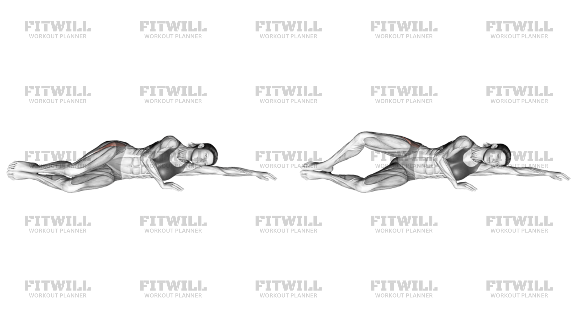 Clamshell Latéral : Guide d'exercice, vidéo, techniques, avantages ...