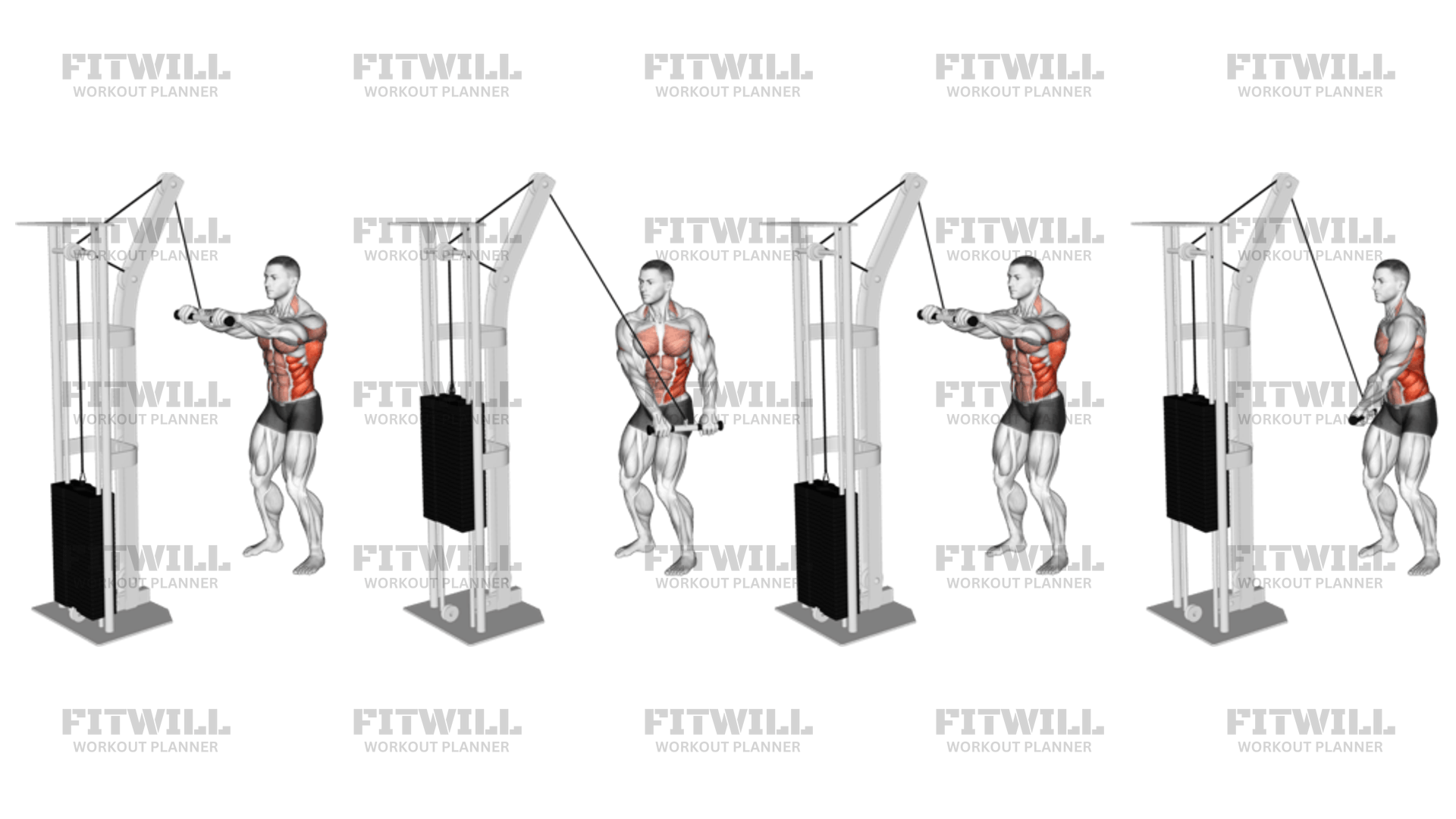 Cable Thibaudeau Kayak Row: Exercise Guide, Techniques, Benefits, How ...