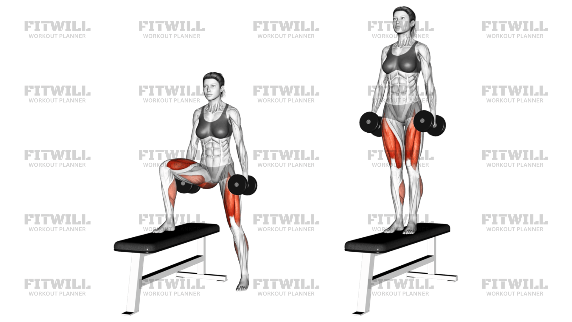 Dumbbell Lateral Step-Up: Exercise Guide, Video, Techniques, Benefits ... Dumbbell Lateral Step-Up: Exercise Guide, Video, Techniques, Benefits ...