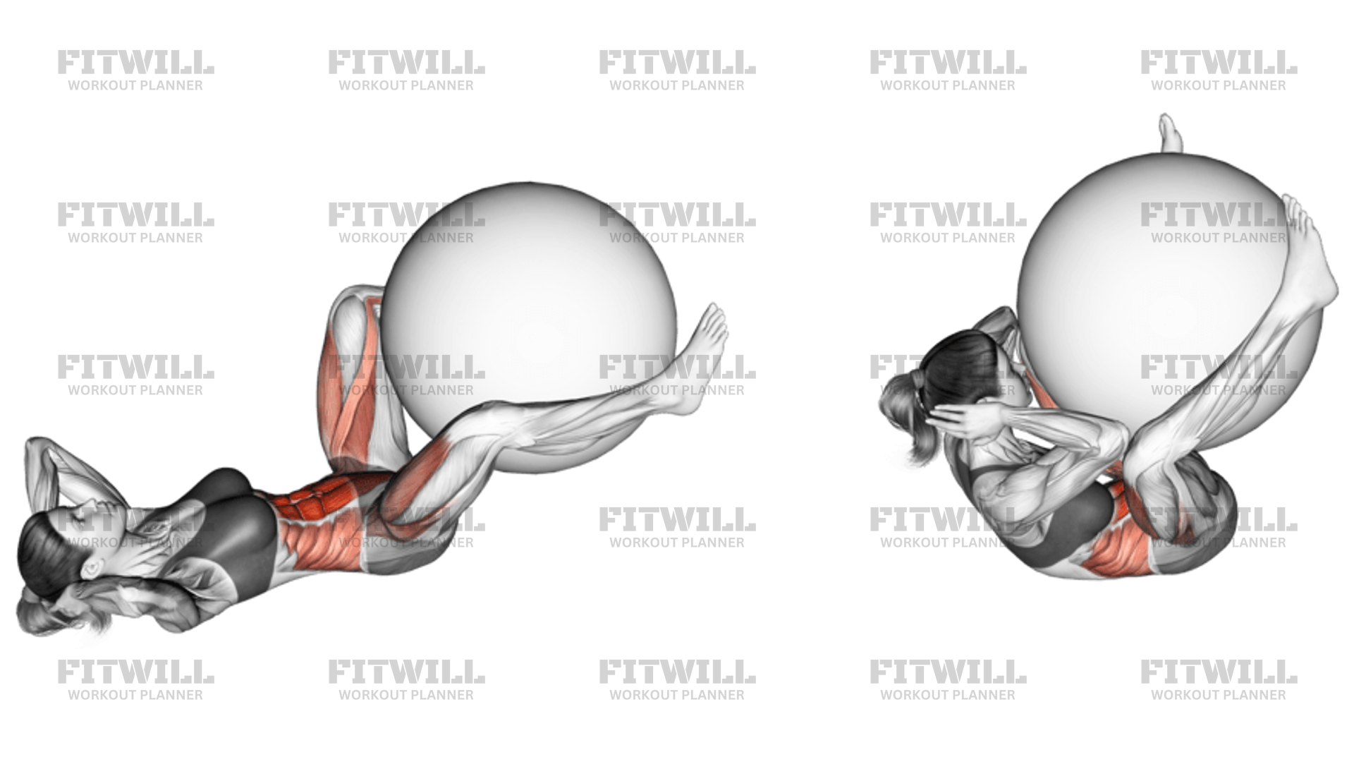 Exercise Ball Frog Crunch: Exercise Guide, Techniques, Benefits, How to ...