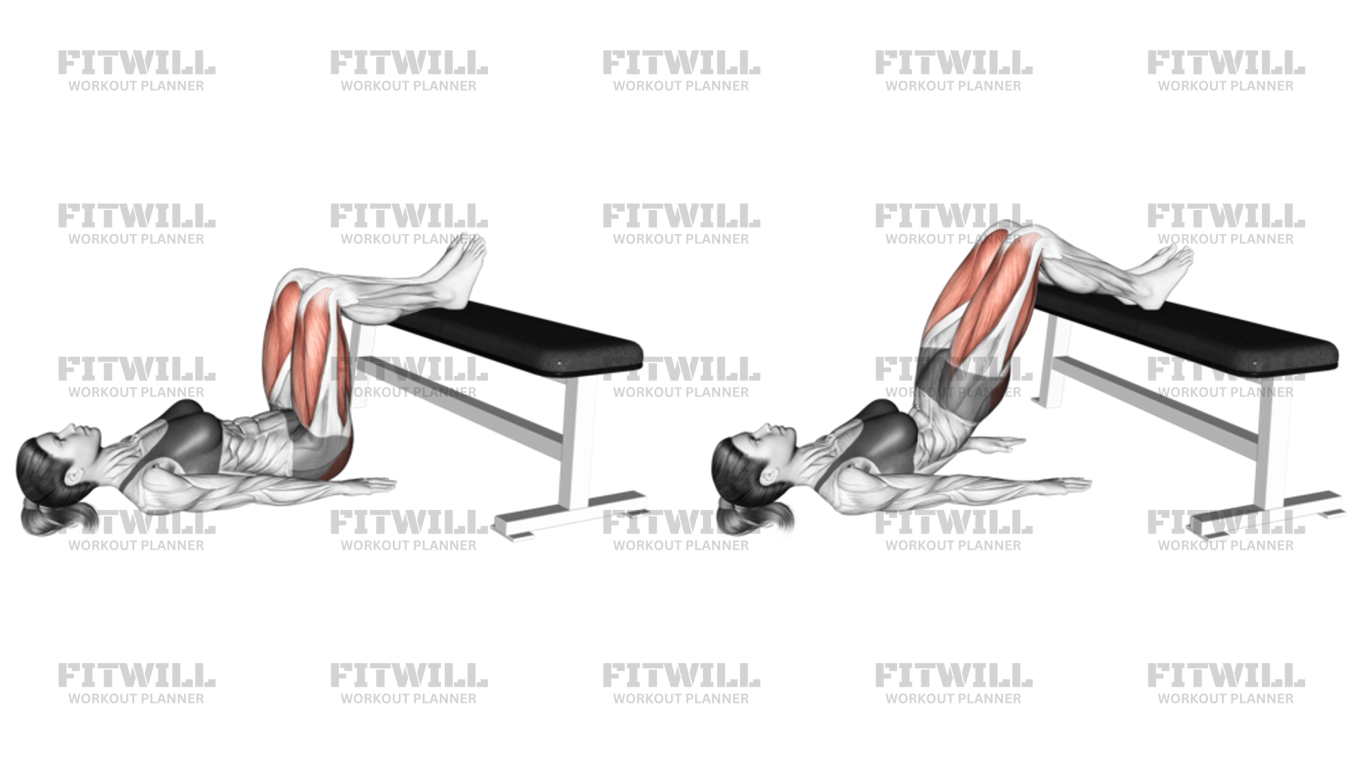 Glute Bridge Two Legs On Bench: Exercise Guide, Video, Techniques ...