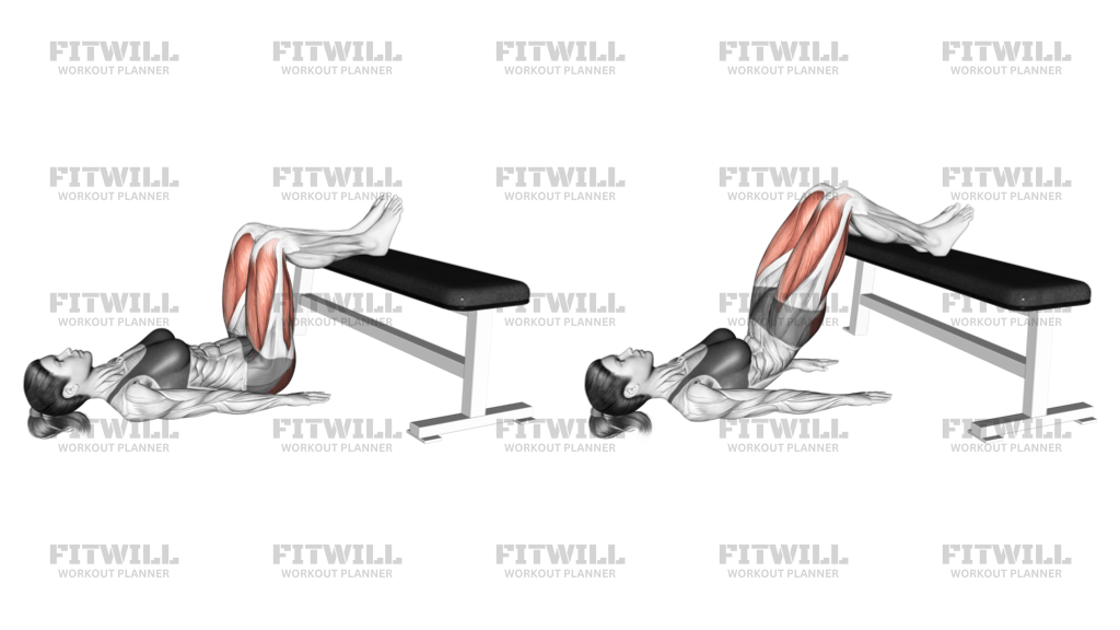 Glute Bridge Two Legs On Bench: Exercise Guide, Video, Techniques ...