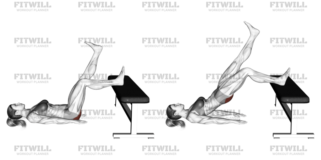 Glute Bridge One Leg On Bench: Exercise Guide, Video, Techniques ...
